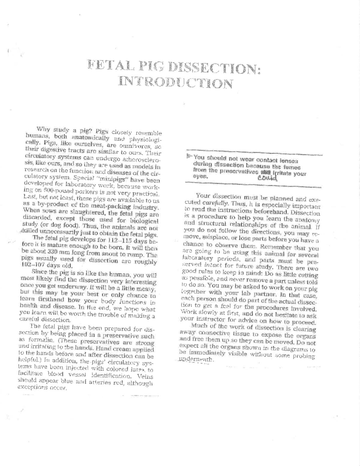 Fetal Pig Dissection Informational Packet - Studocu