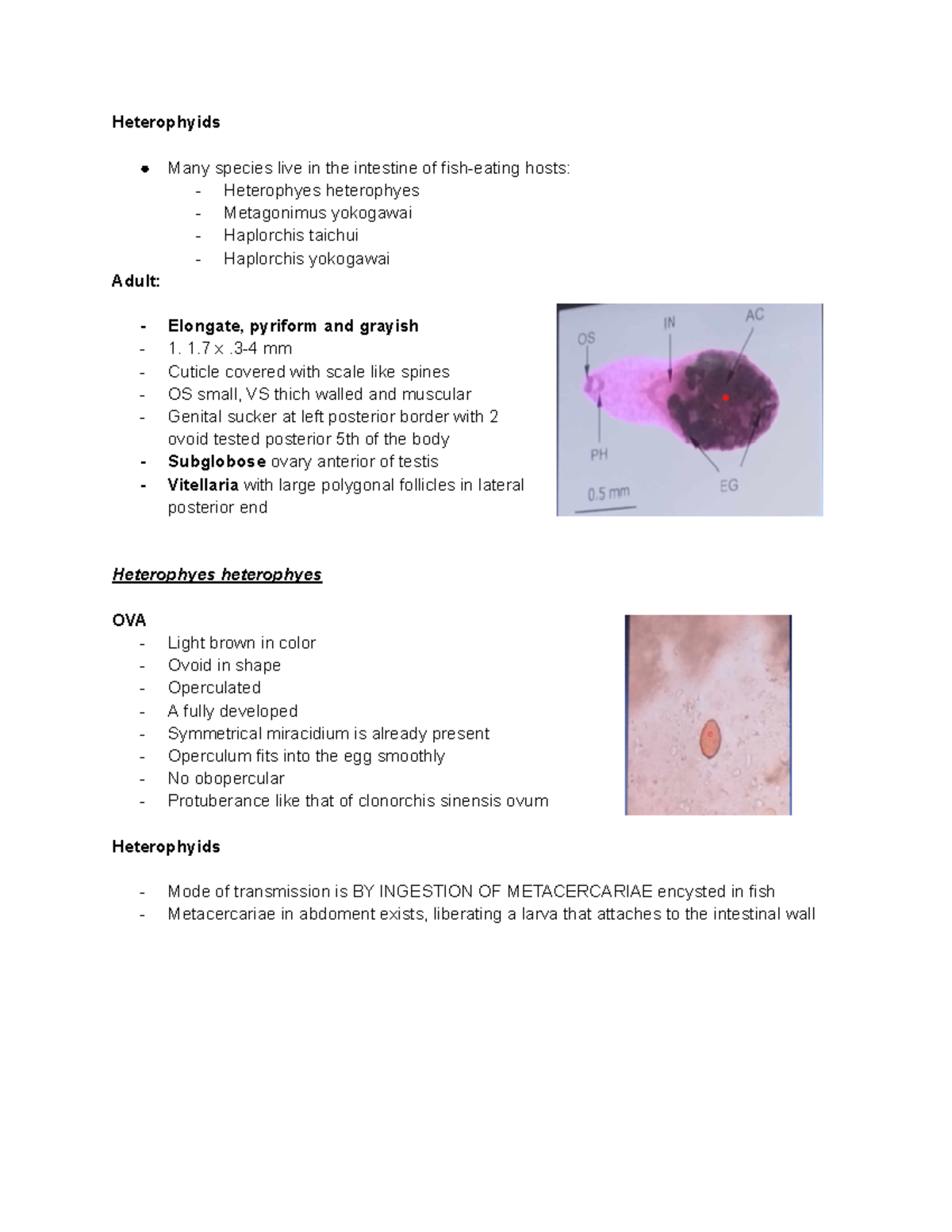 Untitled document - reviewer - Heterophyids Many species live in the ...