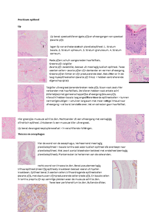 Practicum - Pathofysiologische Kernbegrippen - Practicum ...