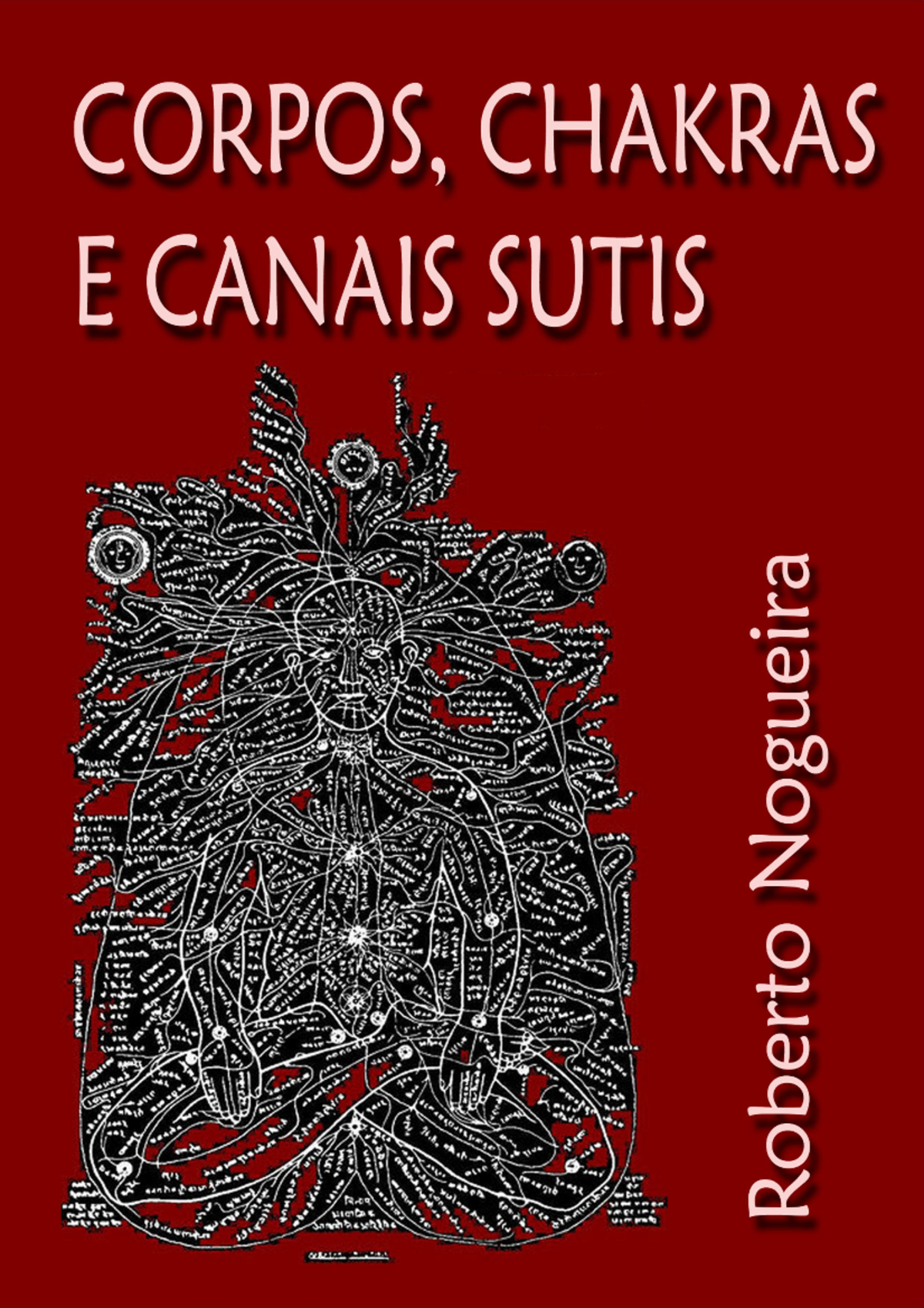 Corpos-Charkas e canais subtis - Os infinitos campos de energia são ...