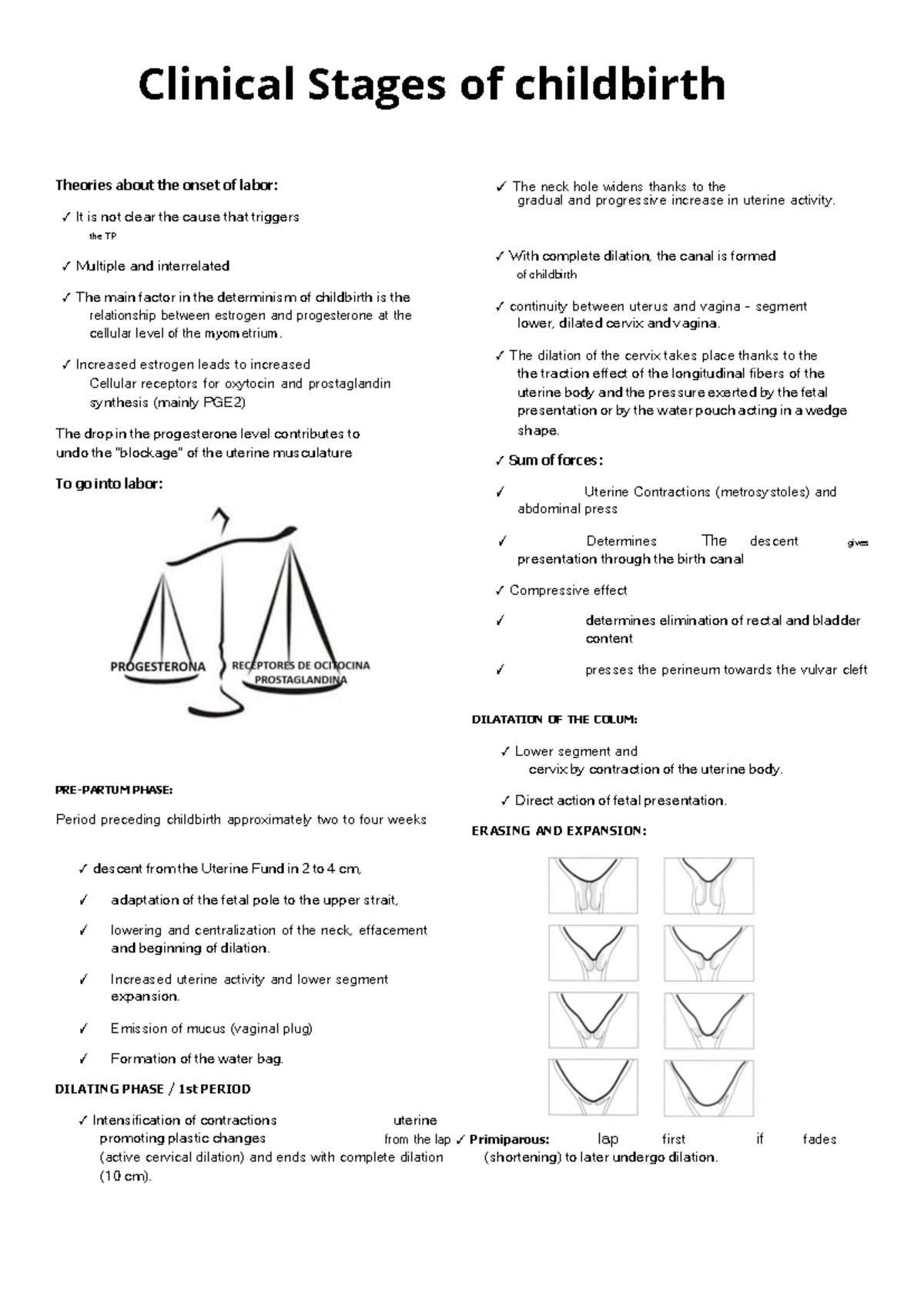 Clinical stages of childbirth - Clinical Stages of childbirth Theories ...