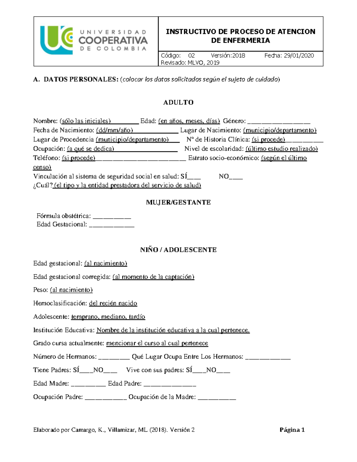 Instructivo proceso de atencion enfermeria PAE - DE ENFERMERIA Código ...
