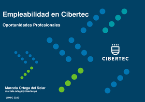 Proyecto Municipalidad DE LIMA 2 - INSTITUTO SUPERIOR TECNOLÓGICO ...