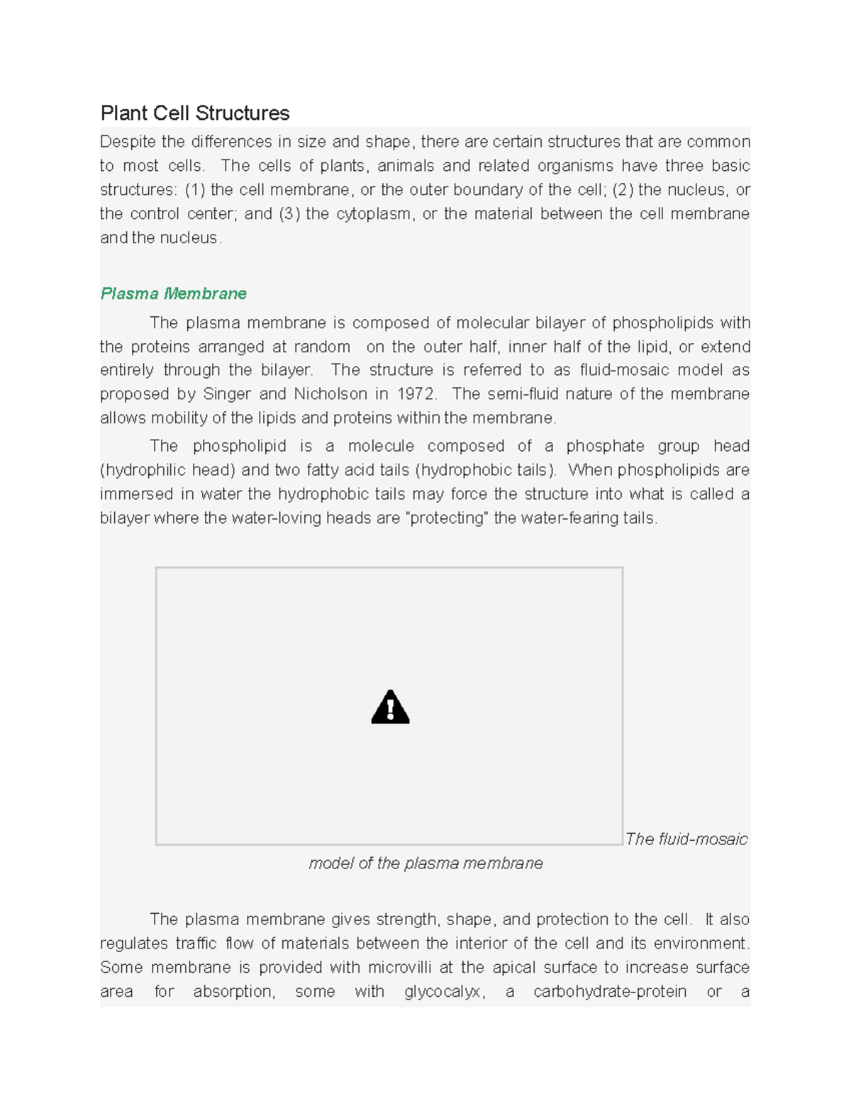 Introduction to Botany - Plant Cell Structures Despite the differences ...