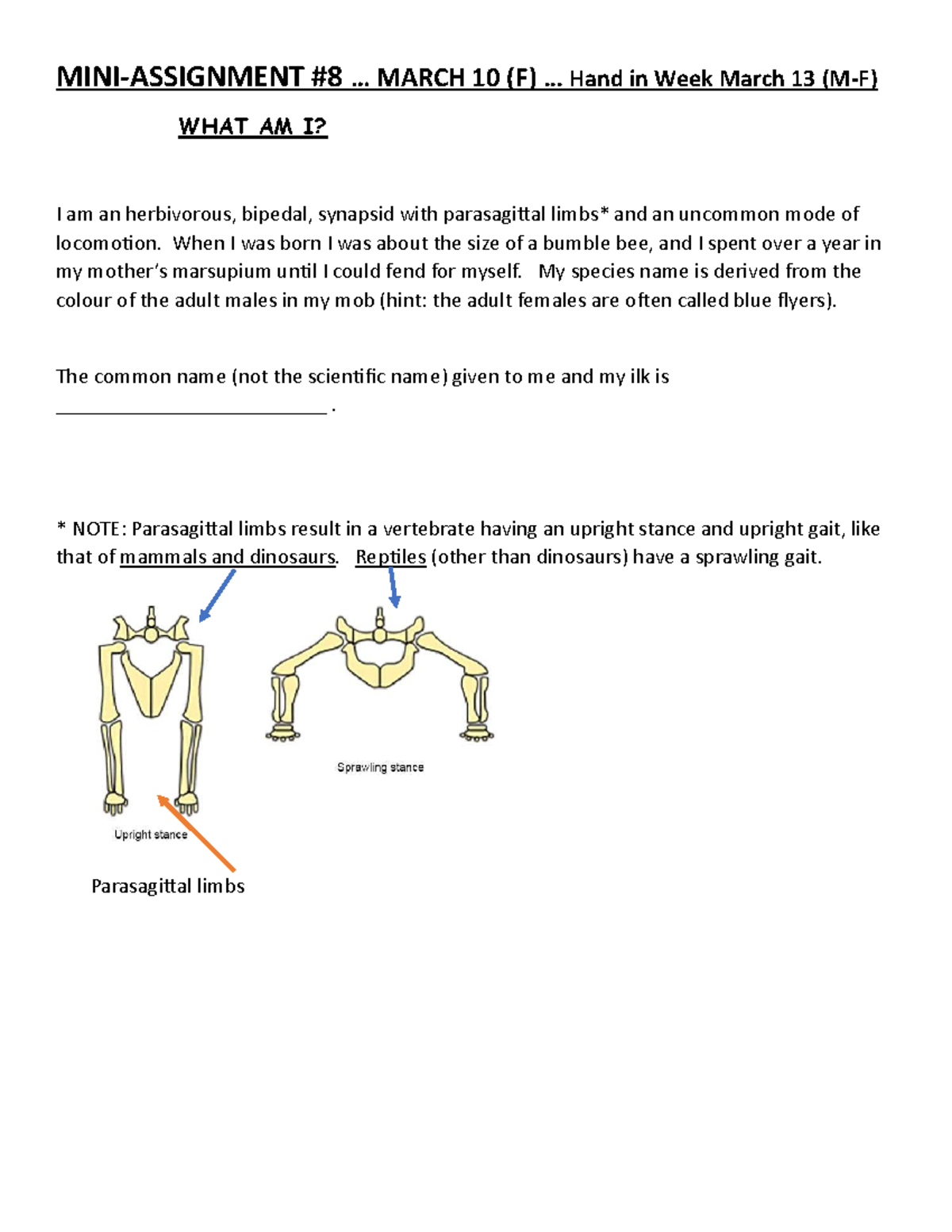 MINI- Assignment#8 - geol - MINI-ASSIGNMENT #8 ... MARCH 10 (F ...
