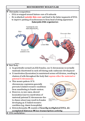 Histology Block 2 Review - Cell Biology: Stages of slide preparation ...