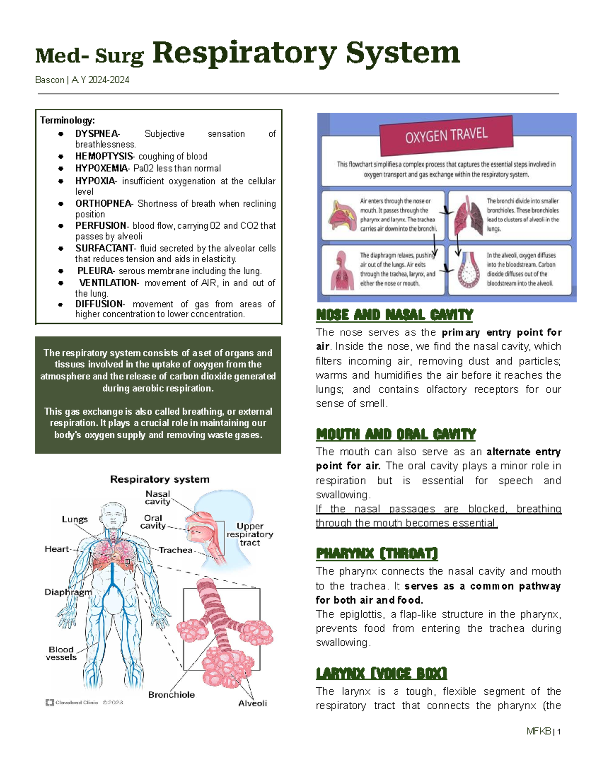 Respiratory MS- Reviewer - Med- Surg Respiratory System Bascon | A 2024 ...