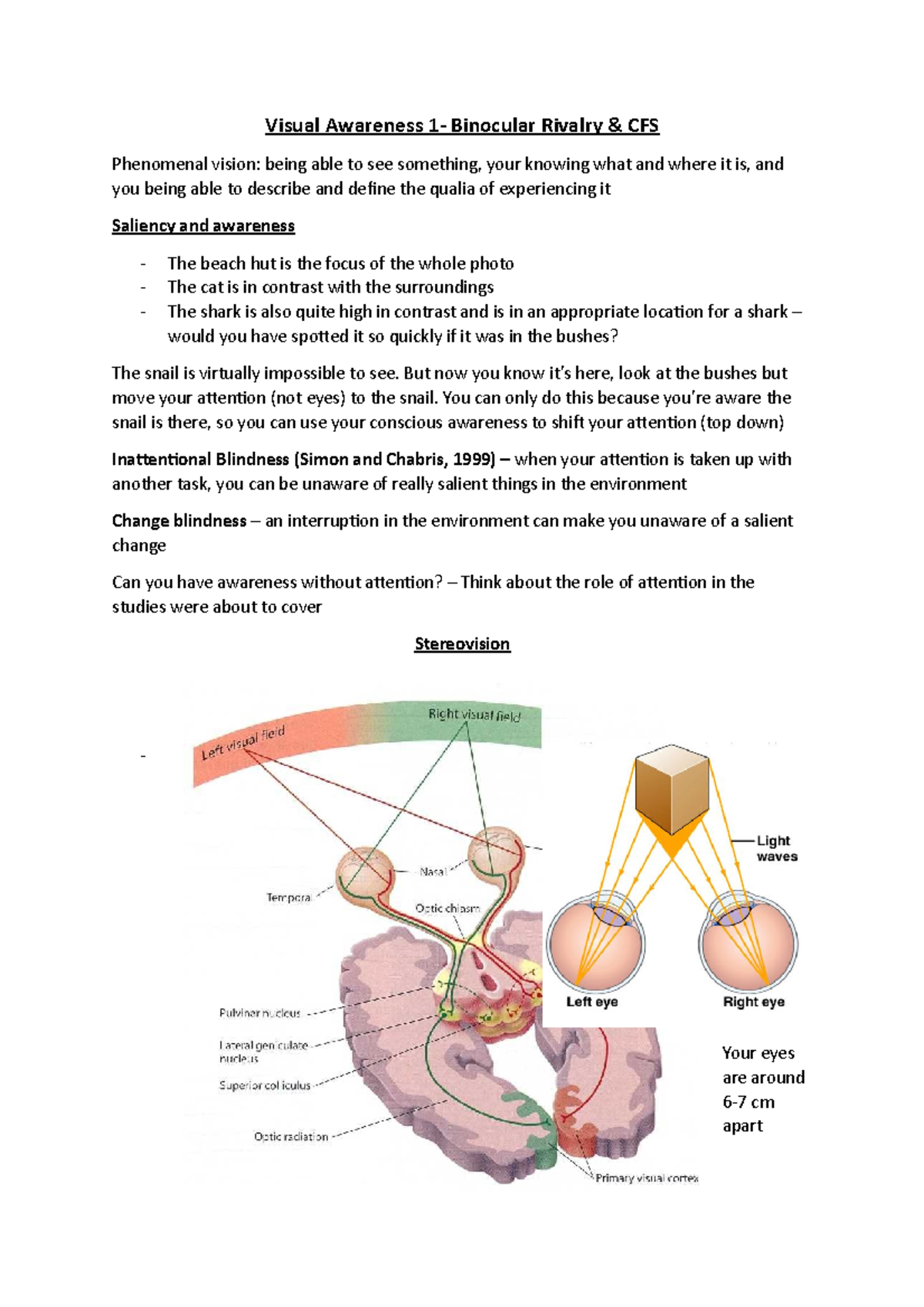 Visual awareness lecture 1 - Visual Awareness 1- Binocular Rivalry &amp ...