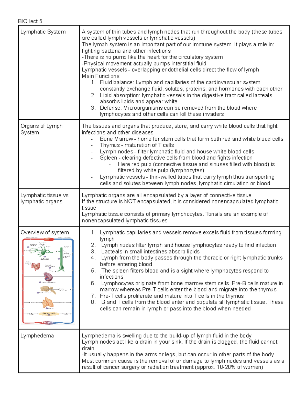 Lymphatic System and Immunity - BIO lect 5 Lymphatic System A system of ...
