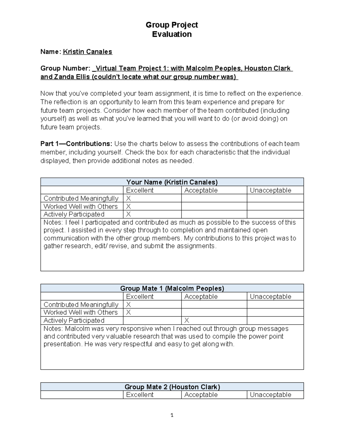 PACE 111- Group Project Reflection - Group Project Evaluation Name ...