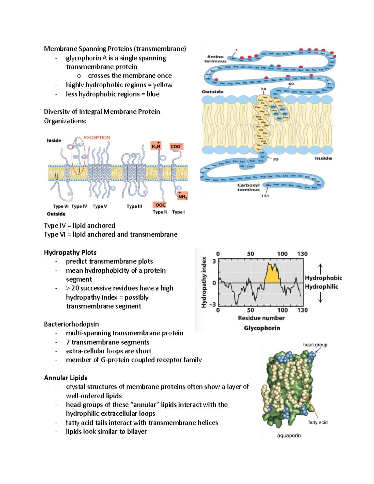 BIOC 3560 lecture notes - Membrane Spanning Proteins (transmembrane ...