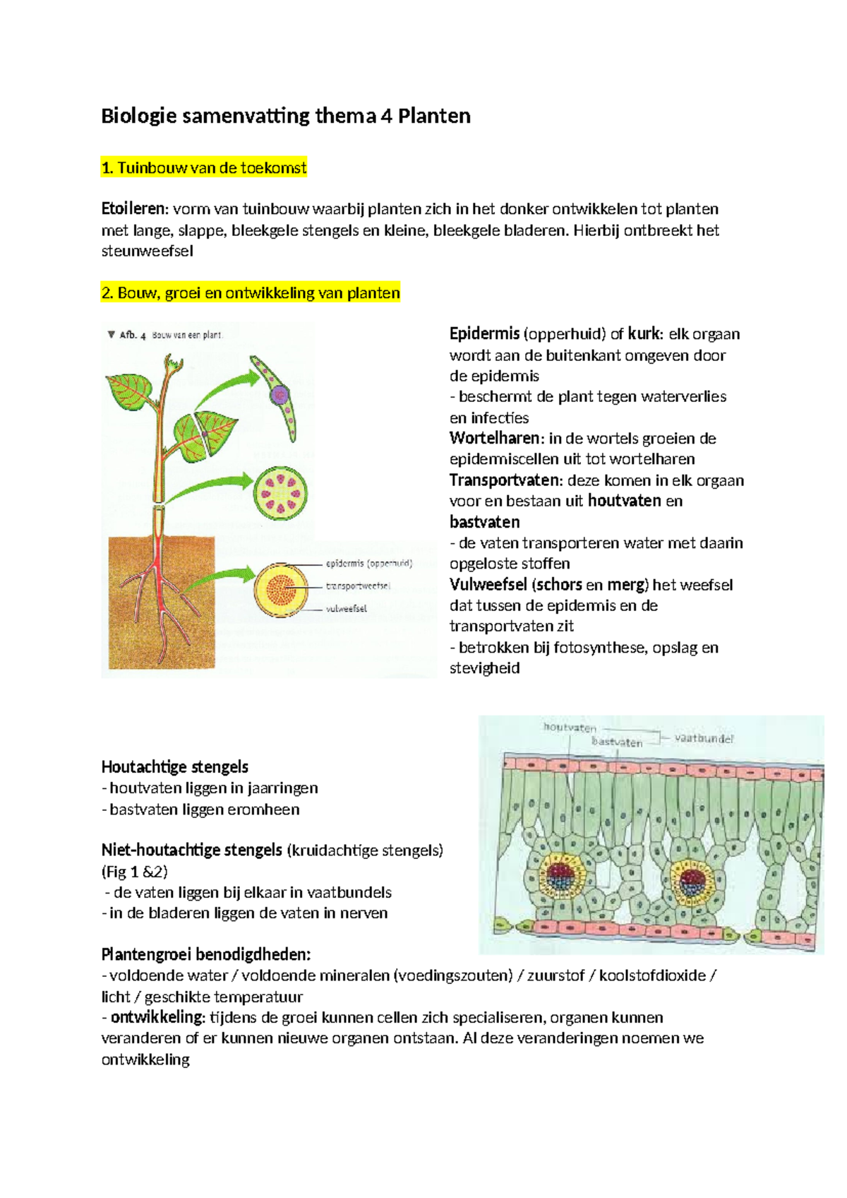 Biologie samenvatting thema 4 Planten - Biologie samenvatting thema 4 ...