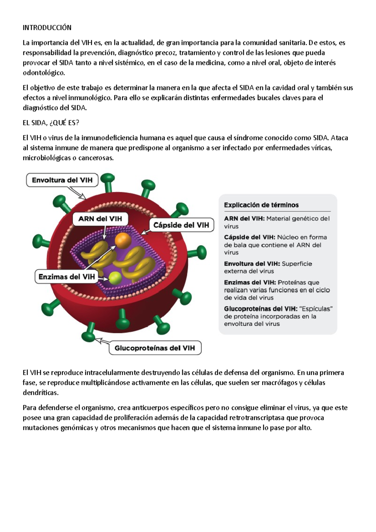 InmunologíA SIDA - INTRODUCCIÓN La importancia del VIH es, en la ...