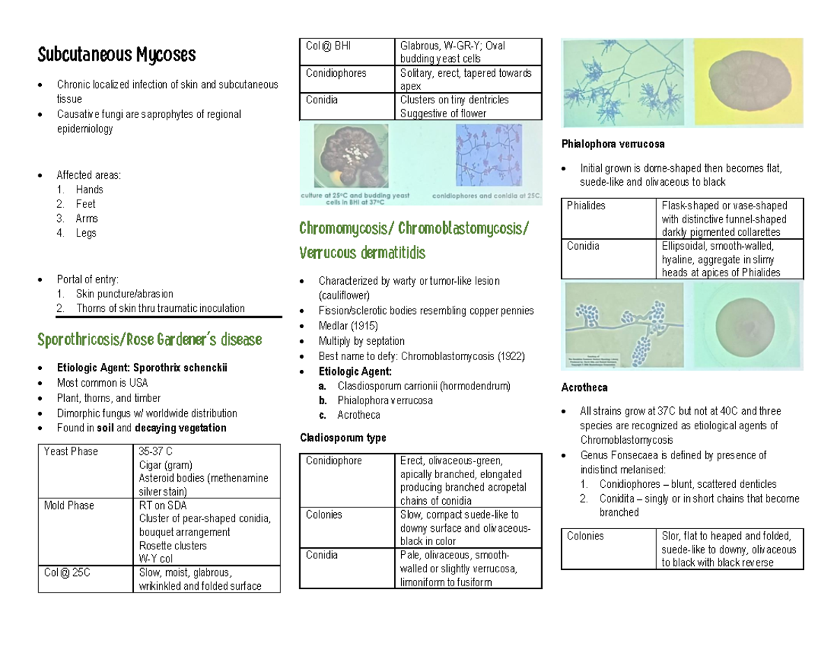 Subcutaneous Mycoses - Hands 2. Feet 3. Arms 4. Legs Portal of entry: 1 ...