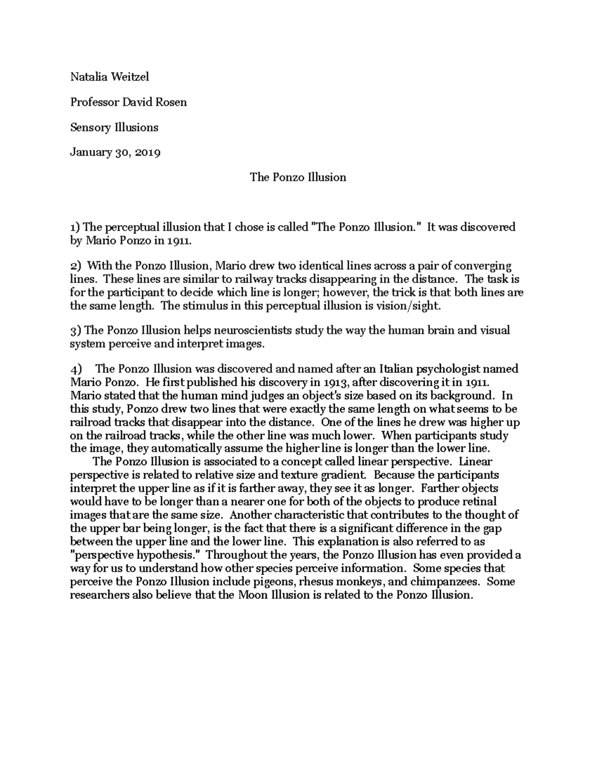 The Ponzo Illusion - Professor David Rosen - Natalia Weitzel Professor ...