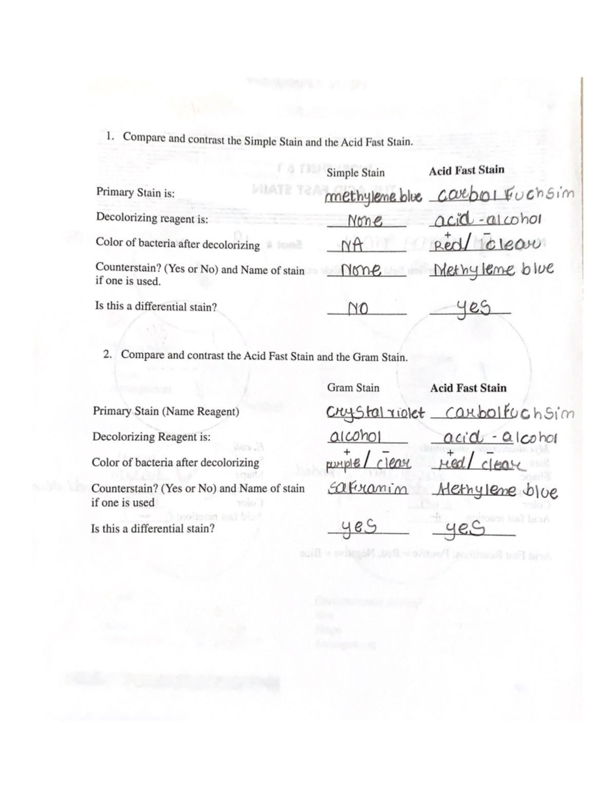 1. Compare and contrast the Simple Stain and the Acid Fast Stain - BIOL ...