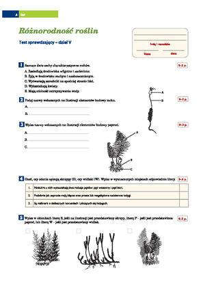 Rodzaje Zakonów W Ś Redniowieczu - 1. RODZAJE ZAKONÓW W ŚREDNIOWIECZU ...