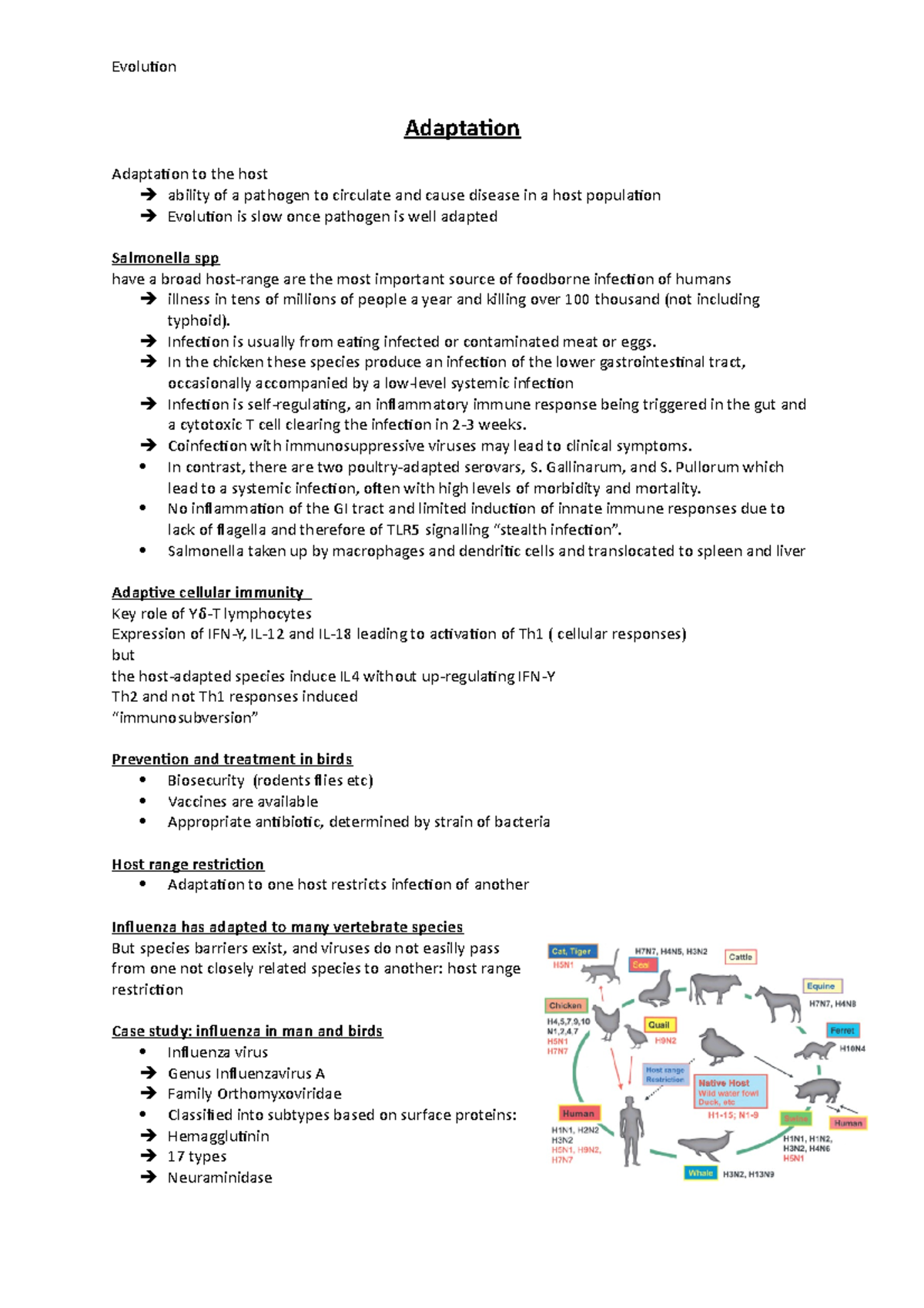 Adaptation - notes - Adaptation Adaptation to the host ability of a ...