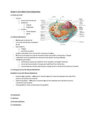 BIOL 2401-Chapter 4 - Chapter 4 Summary - BIOL 2401- KEY CONCEPTS CH: 4 ...