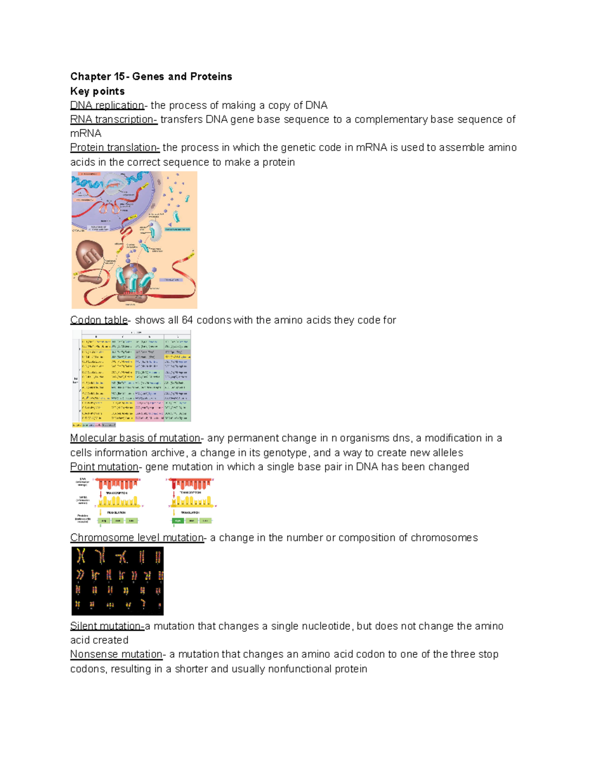 Bio Ch 15 review - overview/summary of the notes from bio 130 chapter ...