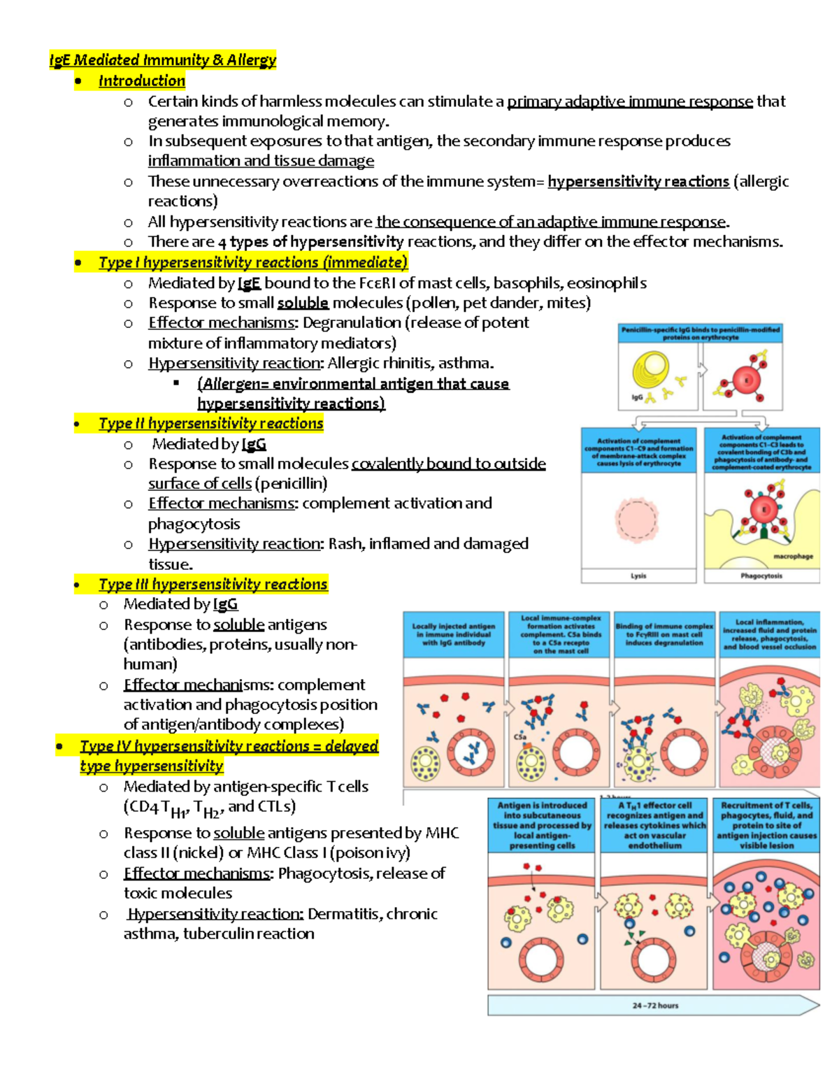 IgE Mediated Immunity Final - IgE Mediated Immunity & Allergy ...