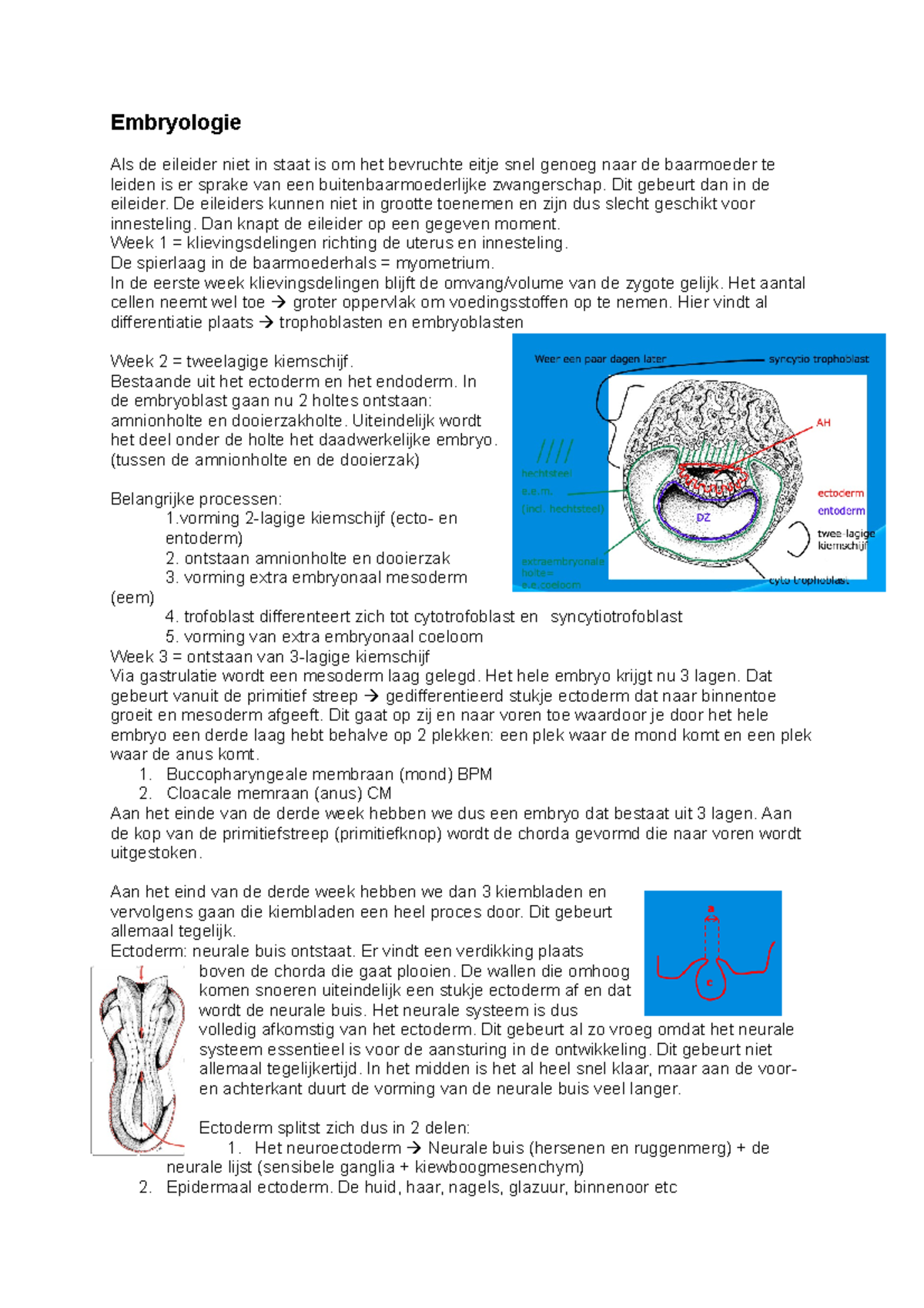 Embryologie collegeaantekeningen - Embryologie Als de eileider niet in ...