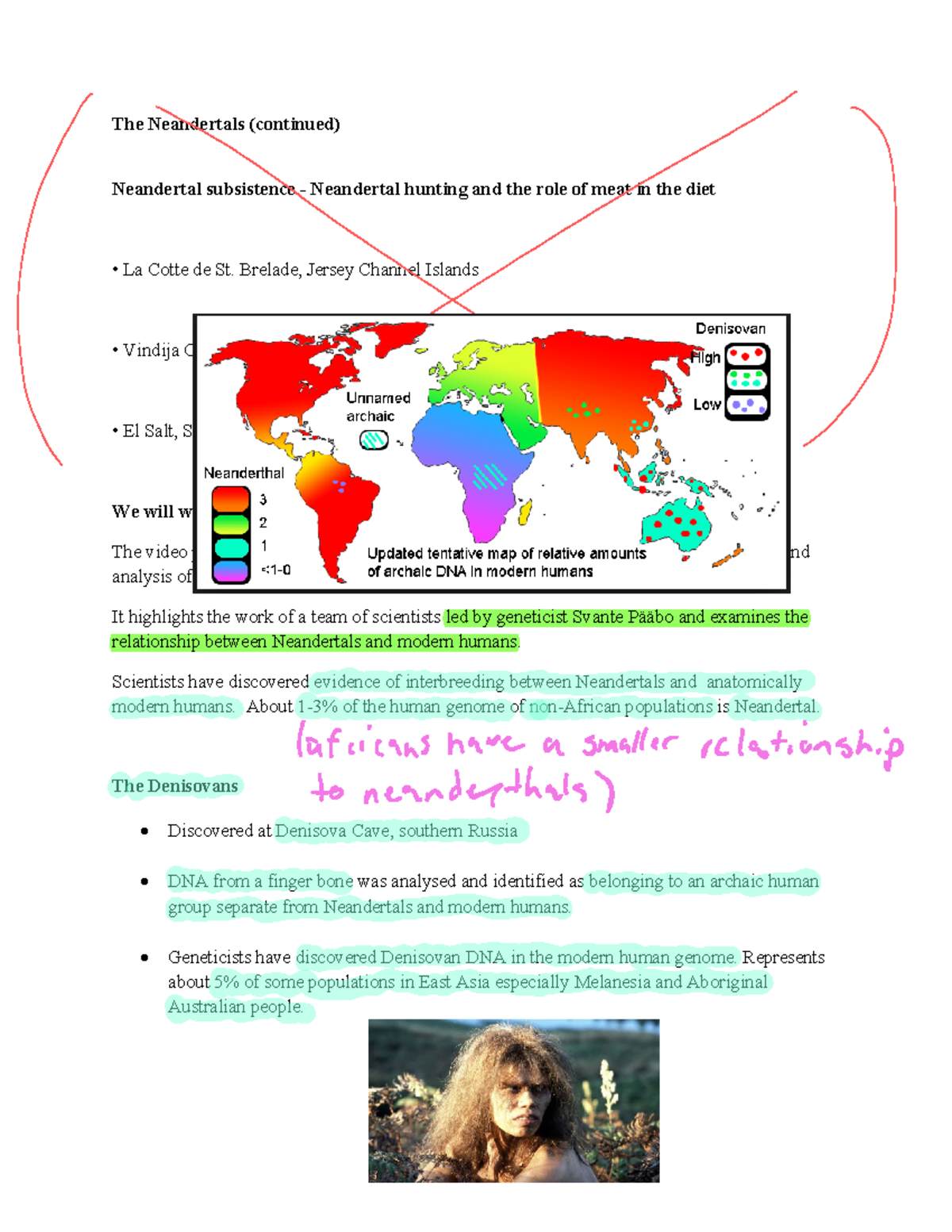 Lecture 13, October 10 - The Neandertals (continued) Neandertal ...