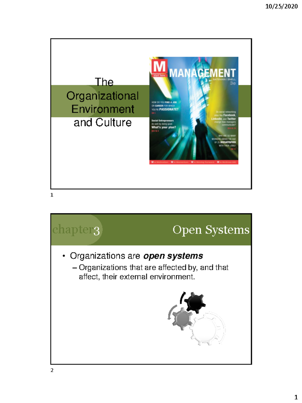 CHP03 The Organizational Environment and Culture - Chapter Three The ...