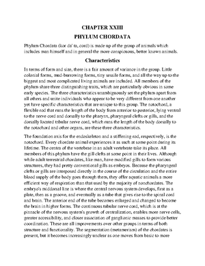 Zoology Chapter 9 [ Phylum Porifera ]part 2 - Internal Anatomy There is ...