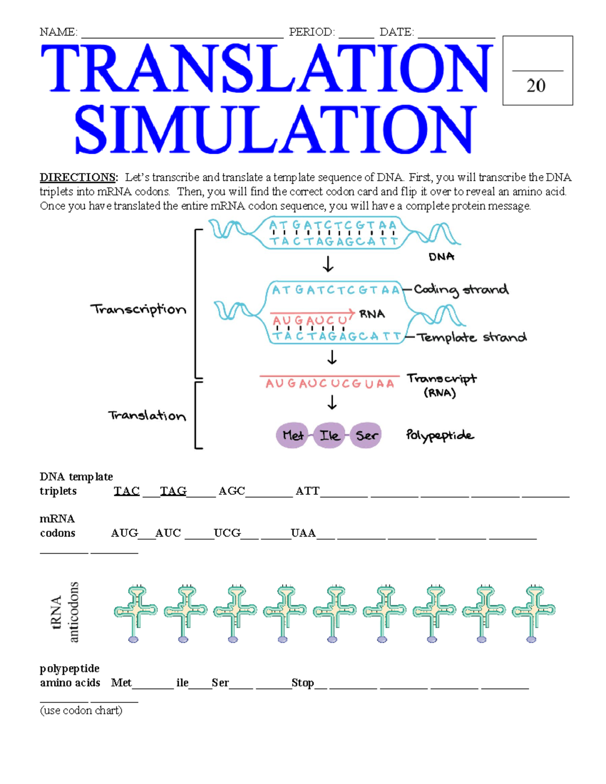 Translation Simulation - NAME ...