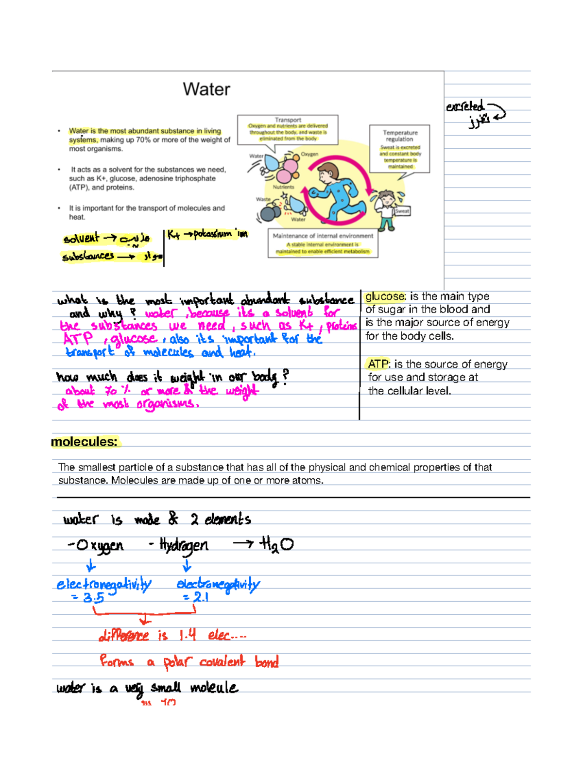 Lect 1 summary biochem - Helpful Notes - The smallest particle of a ...