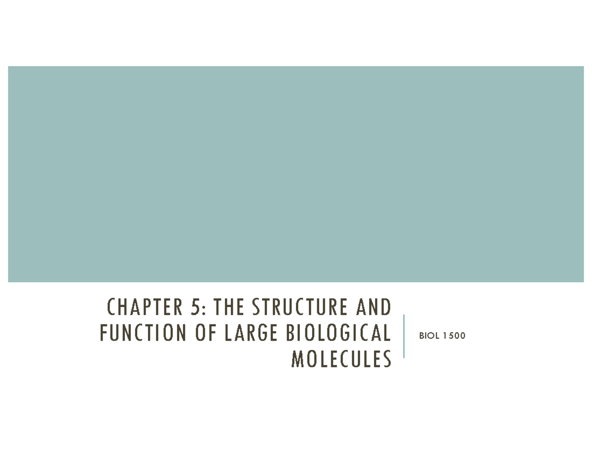 BIOL1500 Chapter 5 - CHAPTER 5: THE STRUCTURE AND FUNCTION OF LARGE ...