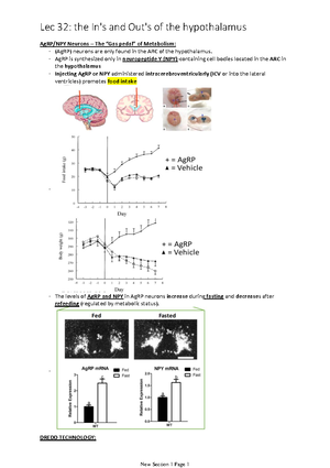 Chapter 1 CK-12 Biology Chapter 1 Worksheets - Chapter 1 What is ...