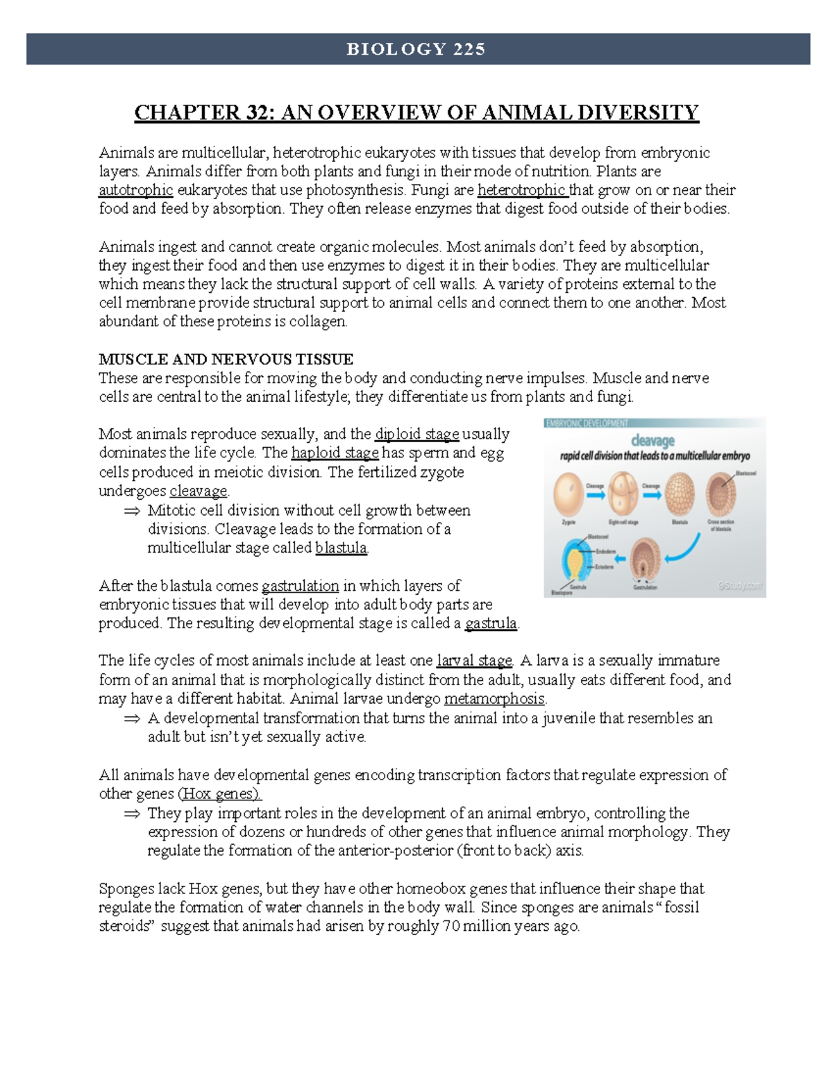 Biology 225 Notes PDF EVERY LESSON + CHAPTER - CHAPTER 32: AN OVERVIEW ...