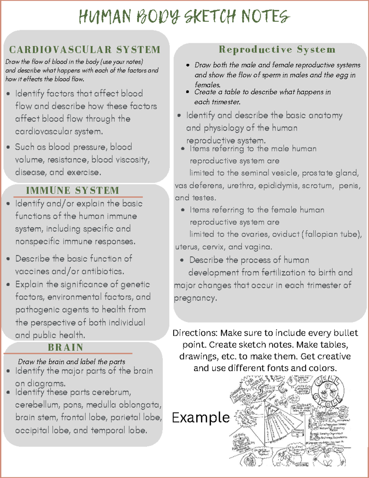 Body systems Sketch Notes 3 - HUMAN BODY SKETCH NOTES IMMUNE SYSTEM ...