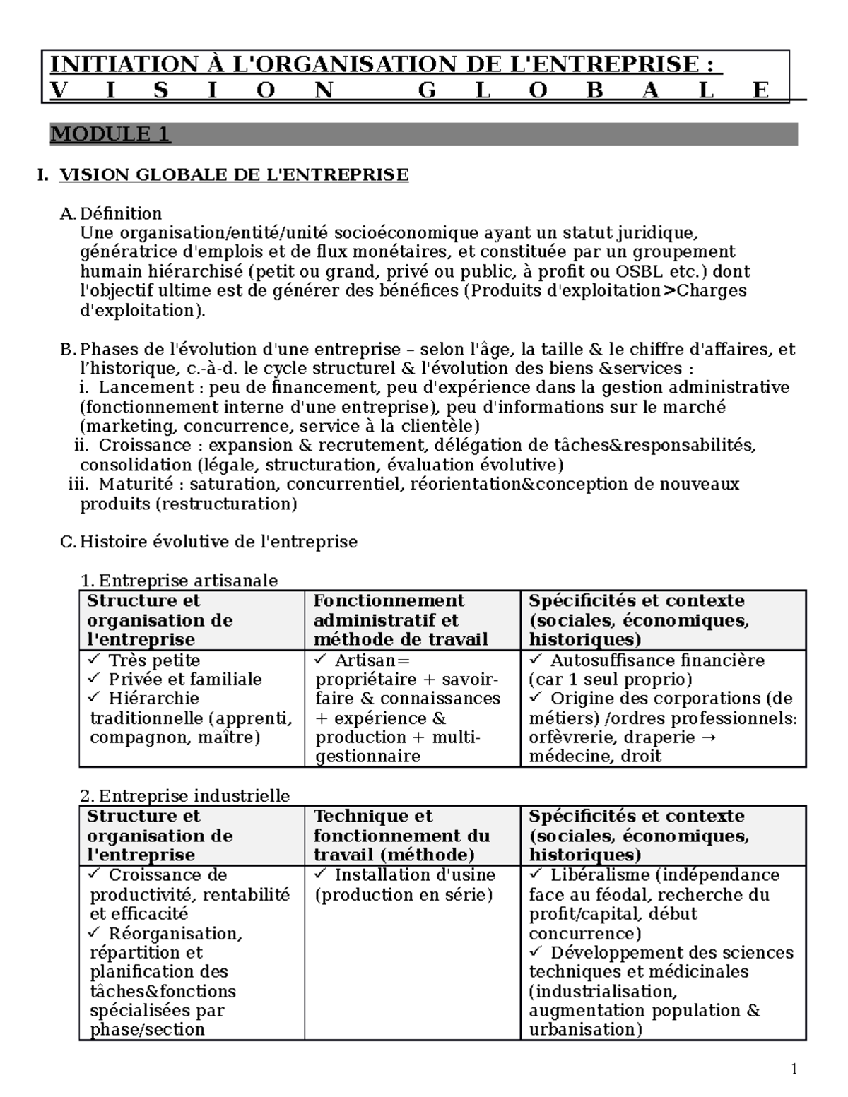 Vision et organisation globale de l'entreprise - INITIATION À L ...