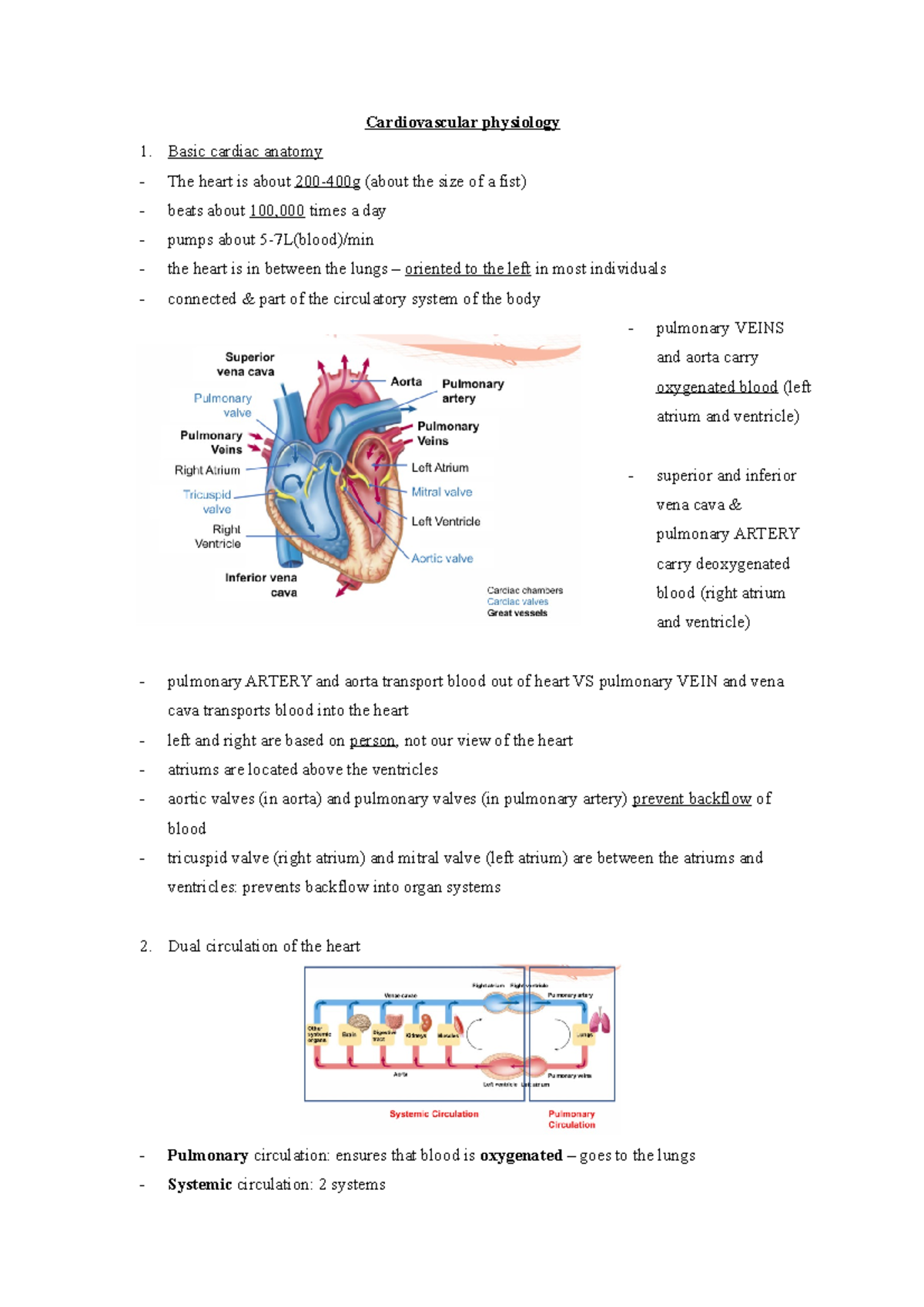 06 07 cardiovascular physiology - Cardiovascular physiology Basic ...