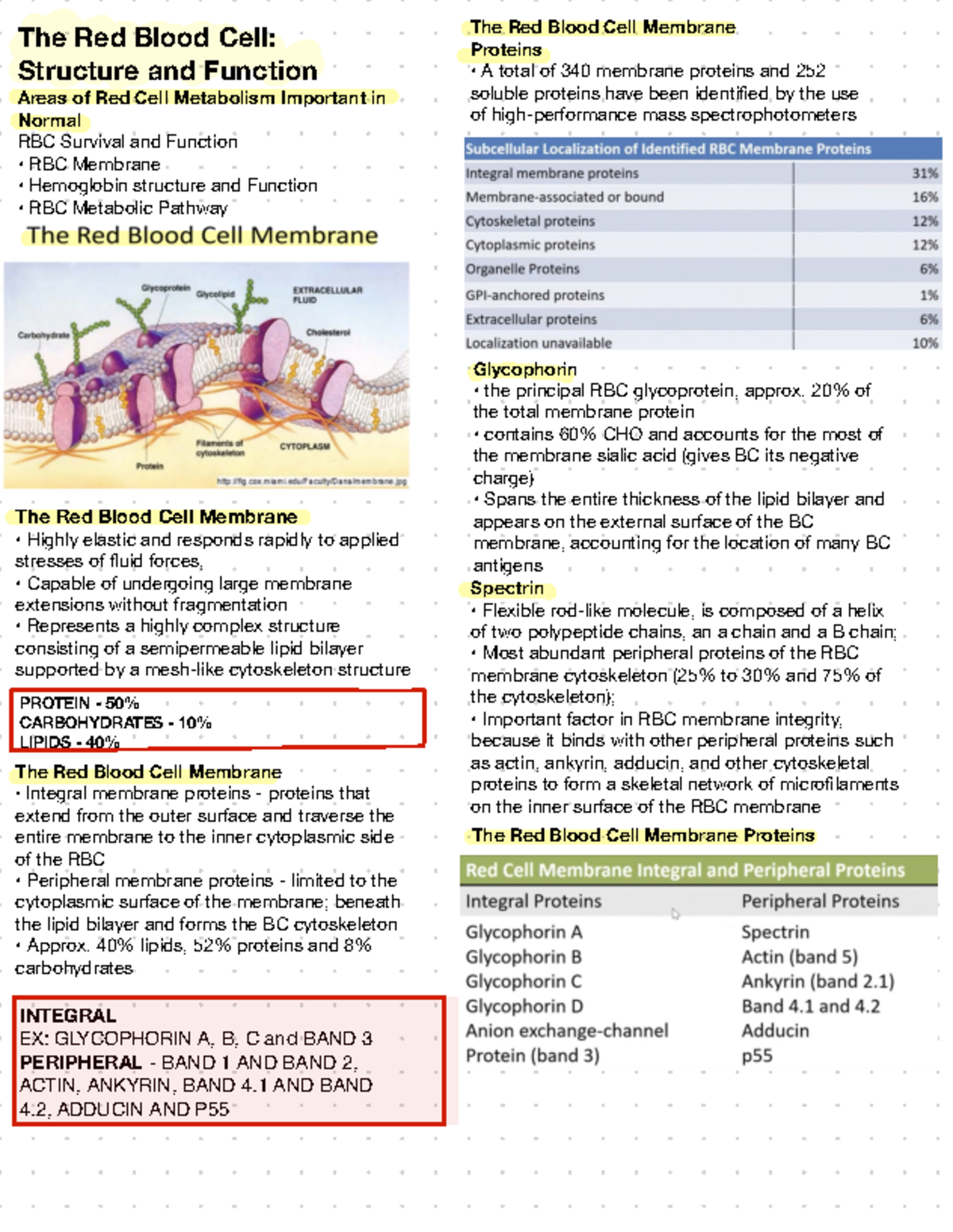 Seminar 2-Week2 - The Red Blood Cell: Structure and Function Areas of ...