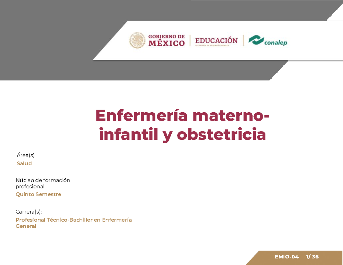 Programa Enfermería materno-infantil y obstetricia - Área(s): Salud ...