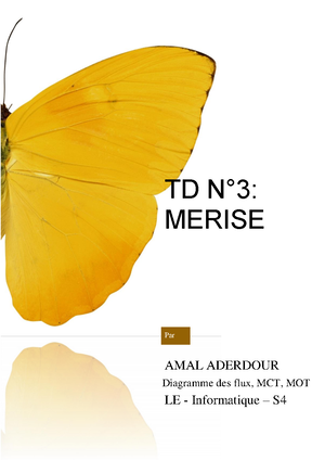 TD3 Merise D Flux MCT, MOT pp - Université IBN ZOHR Année Universitaire 2019/ École Supérieur de ...