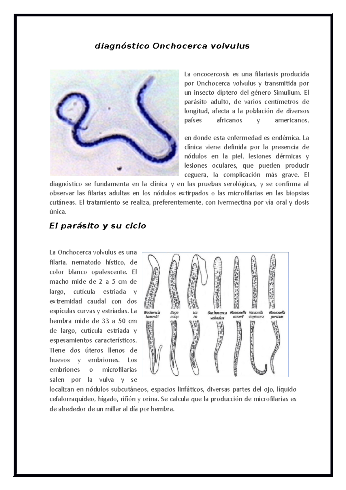 Diagnóstico Onchocerca volvulus practicas e informe - diagnóstico ...