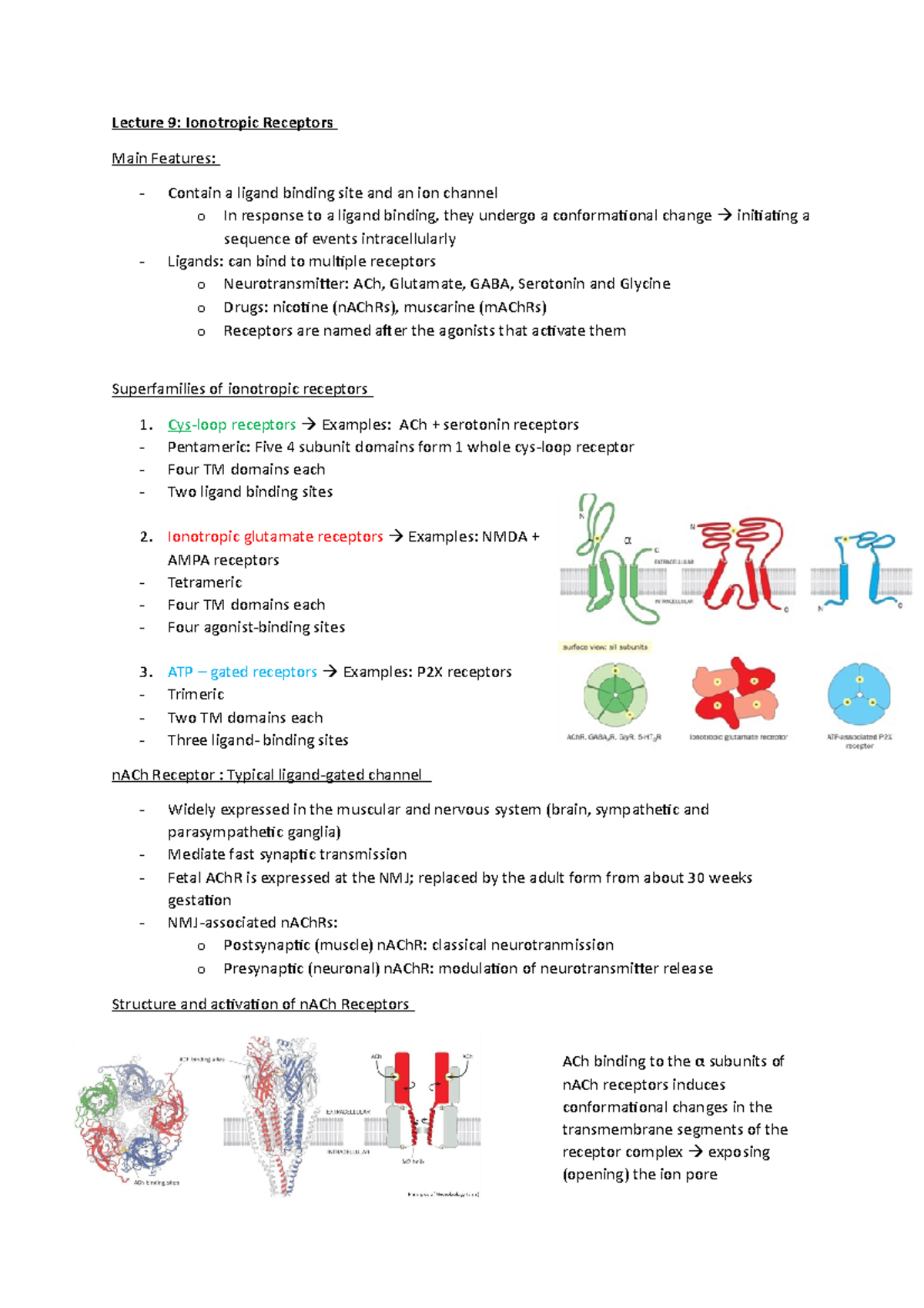 Ionotropic Receptors - Lecture 9: Ionotropic Receptors Main Features ...