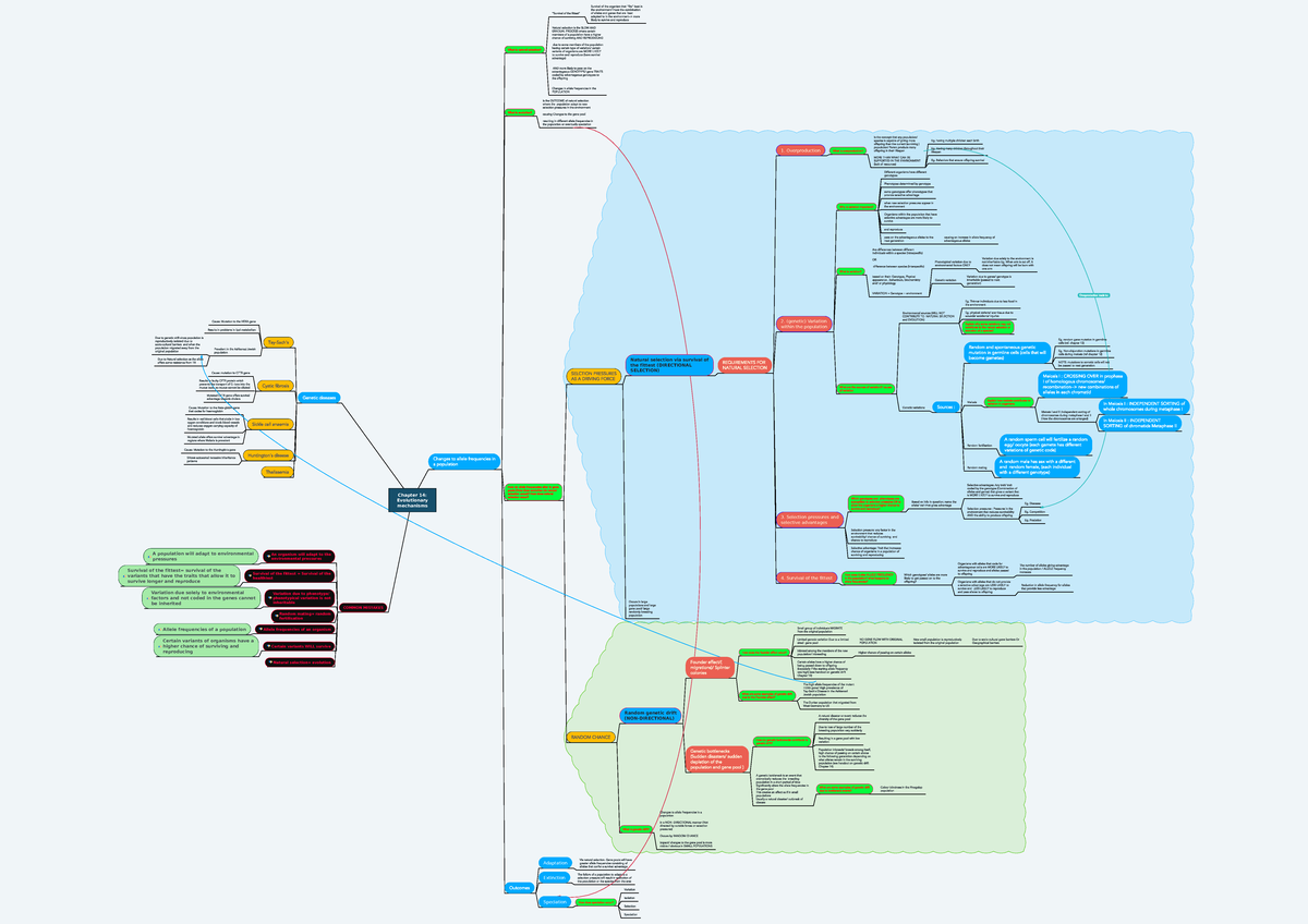 Bio chapter 14 mindmap - Natural selection via survival ofthe fittest ...