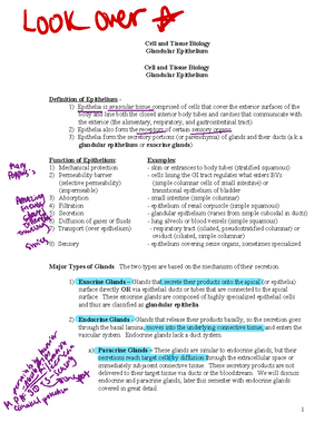 06 Cell Cycle - Tagged - Histology exam review - Cell Cycle A. Deals ...