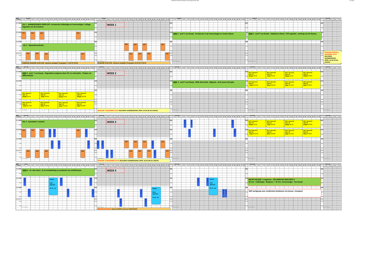 CBI 2020 Overzichtrooster Canvas - OVERZICHT-ROOSTER Celbiologie en ...
