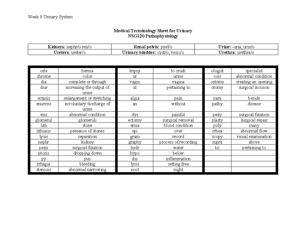 Module 8 Medical Terminology Sheet for Urinary System 2022 - Week 8 ...