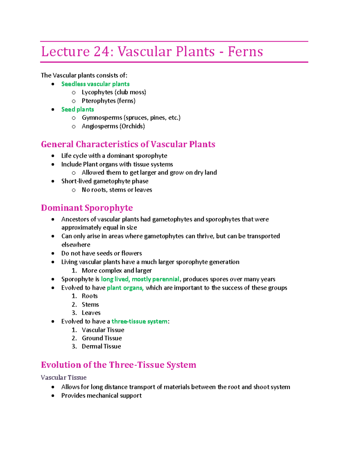 Lecture 24 Ferns Warning Tt Undefined Function 32 Warning Tt Undefined Function 32