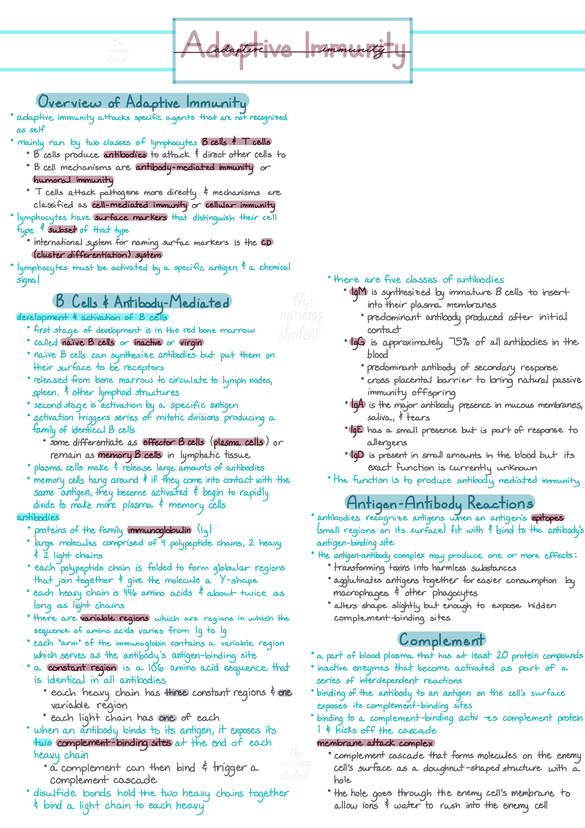 Aand PBundle - notes - BIOL 251 - Studocu