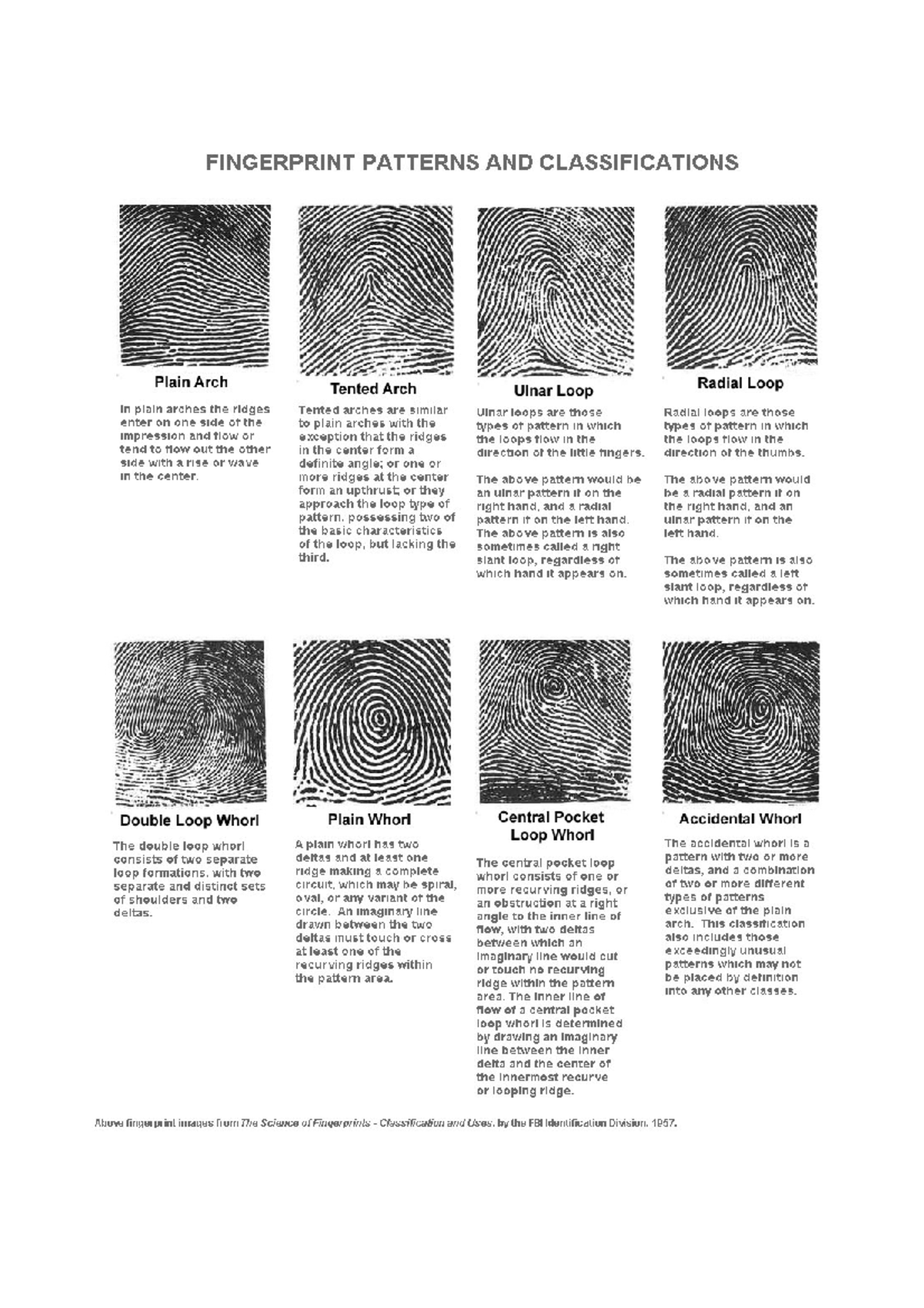 Types of Fingerprints - Picture - BS Criminology - Studocu