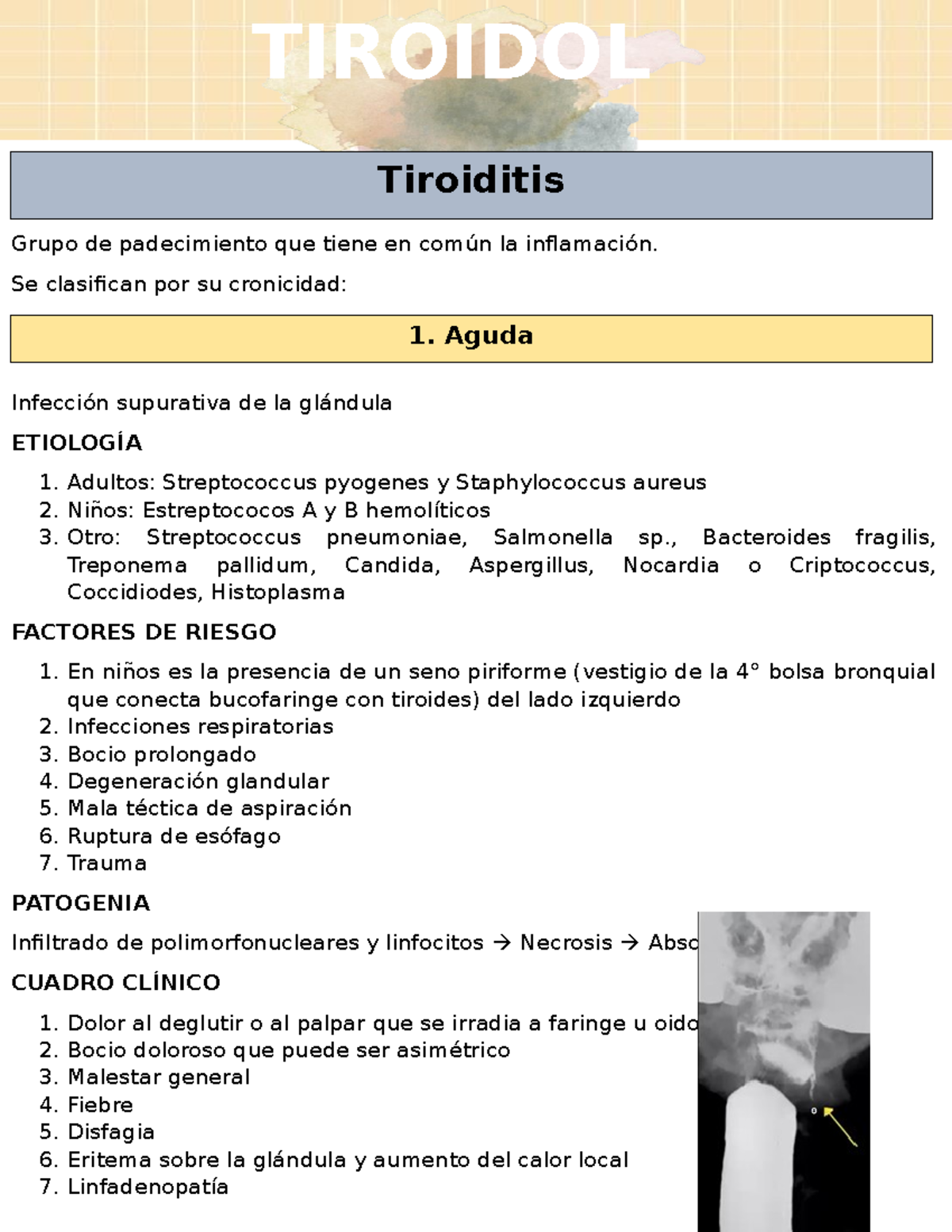 Tiroidología - En este resumen se describen los diferentes tipos de ...